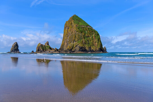 Sunny.oregon bilder – Bläddra bland 11,629 stockfoton, vektorer och ...