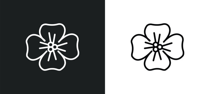 Wallflower Imagens – Procure 6,117 fotos, vetores e vídeos | Adobe Stock