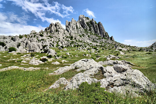 รูปภาพTuling – เลือกดูภาพถ่ายสต็อก เวกเตอร์ และวิดีโอ3,015 | Adobe Stock