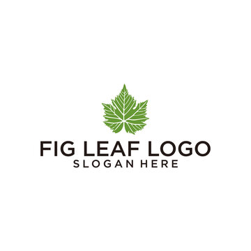 Fig Leaf Logo Page 5 | Fig Tree Logo Images Free Download On Freepik