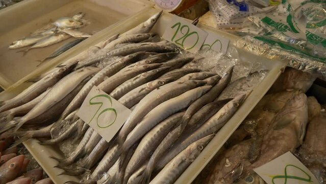 Stinky Fish Images – Browse 665 Stock Photos, Vectors, and Video ...