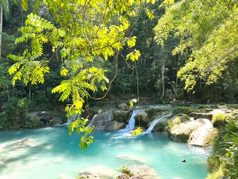 "Tropical Life" Images – Browse 662 Stock Photos, Vectors, and Video ...