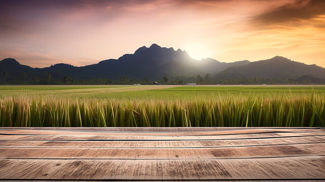 Tabletop Rice Field Backdrop Images – Browse 390 Stock Photos, Vectors ...