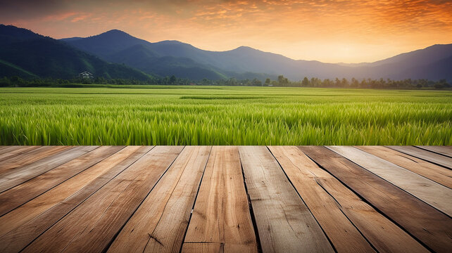 Tabletop Rice Field Backdrop Images – Browse 390 Stock Photos, Vectors ...