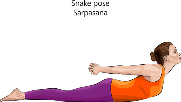 Sarpasana Images – Browse 31 Stock Photos, Vectors, and Video | Adobe Stock