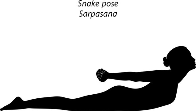 Sarpasana Images – Browse 31 Stock Photos, Vectors, and Video | Adobe Stock