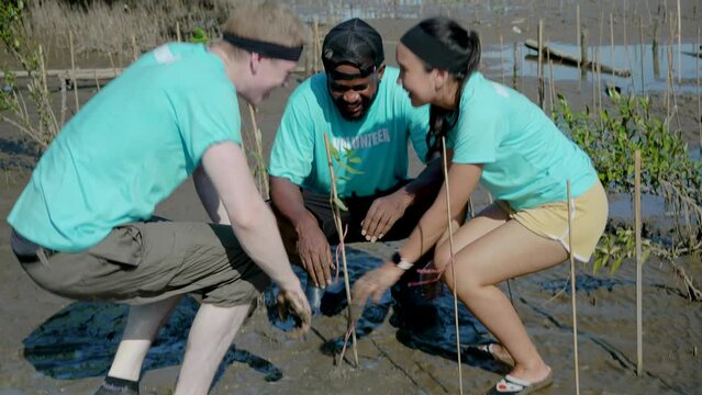 Helpers Images – Browse 138,719 Stock Photos, Vectors, and Video ...