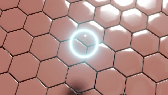 Regenerating Images – Browse 14,481 Stock Photos, Vectors, and Video ...