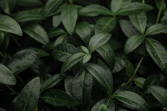 Rabatten bilder – Bläddra bland 479,427 stockfoton, vektorer och videor ...