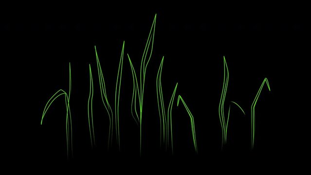 "Grass Blades" Images – Browse 2,811 Stock Photos, Vectors, and Video ...