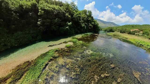 Eye-Like Images – Browse 199 Stock Photos, Vectors, and Video | Adobe Stock