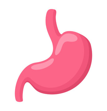 "Stomach Vector" Images – Browse 74 Stock Photos, Vectors, and Video ...