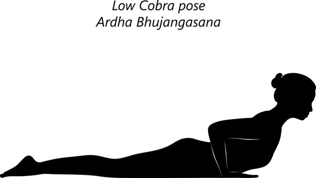"Ardha Bhujangasana" Images – Browse 17 Stock Photos, Vectors, and ...