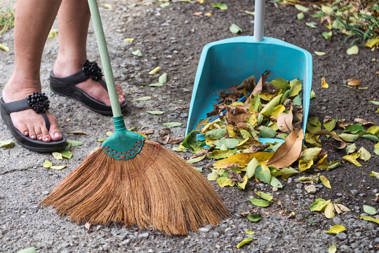 Broom.sweeping Images – Browse 55,235 Stock Photos, Vectors, and Video ...