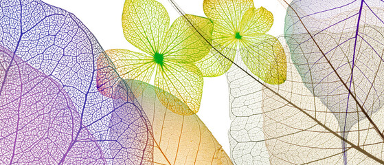 30+ Free Desktop Wallpaper Vintage Photography | Free HD Downloads ...