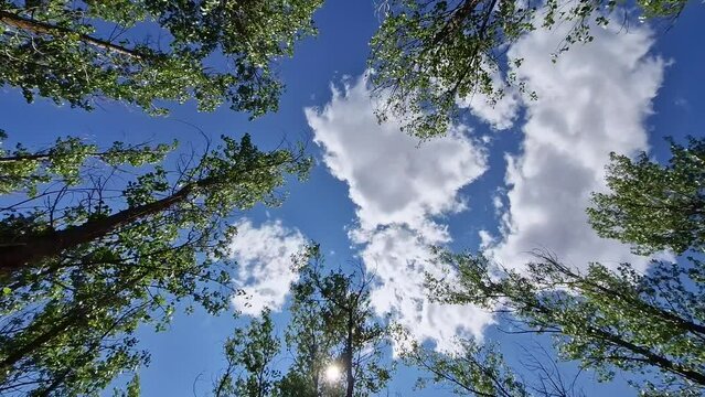 Imágenes de Contrapicado: descubre bancos de fotos, ilustraciones ...