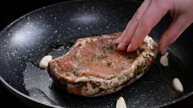 Staek Imagens – Procure 142 fotos, vetores e vídeos | Adobe Stock