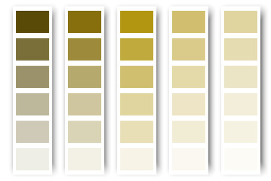 Pale Yellow Color Palette
