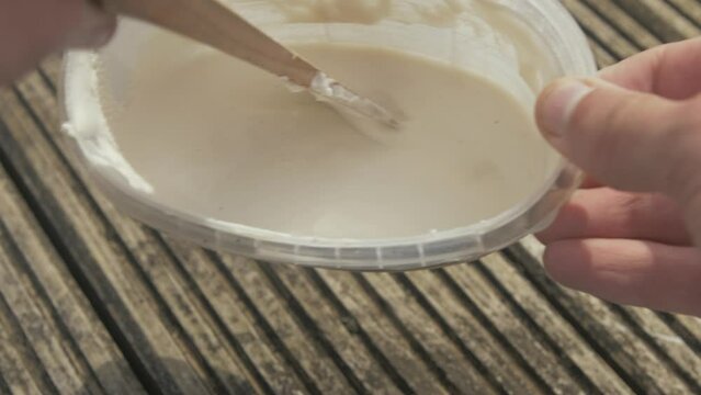 Catamite Images – Browse 1,261 Stock Photos, Vectors, and Video | Adobe ...