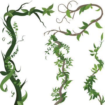 Vines Images – Browse 154,292 Stock Photos, Vectors, and Video | Adobe ...