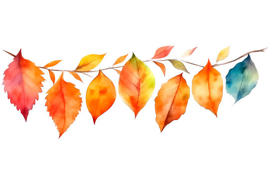 Fall Leaves Watercolor Border Images – Browse 34,024 Stock Photos ...