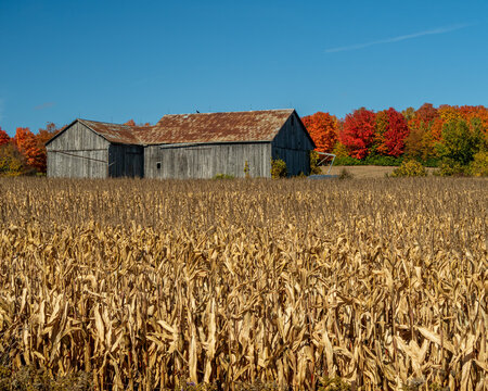 Jim Babbage photos, images, assets | Adobe Stock