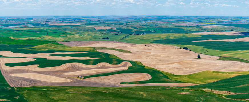 Whitman County Washington