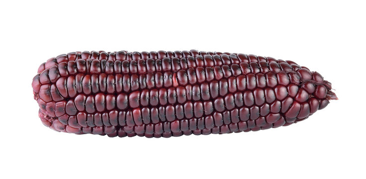 "Purple Corn Images – Browse 16,759 Stock Photos, Vectors, and Video ...