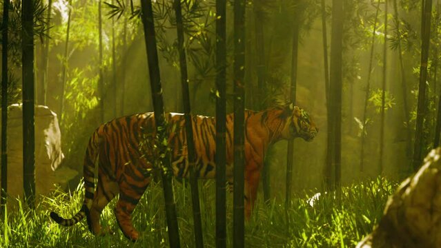 "Tiger Hunting" Images – Parcourir 273 le catalogue de photos, vecteurs ...