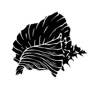 "Shell Silhouette" Images – Browse 59 Stock Photos, Vectors, and Video ...