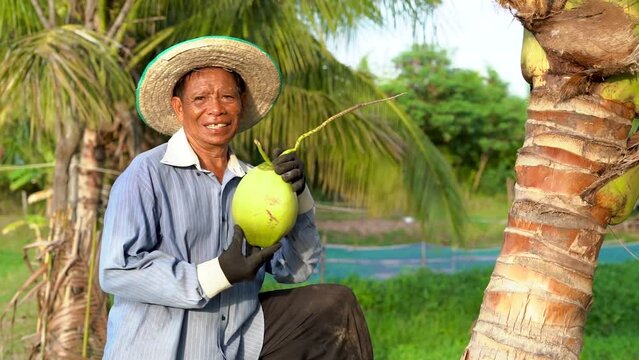 Flagrant Images – Browse 1,081 Stock Photos, Vectors, and Video | Adobe ...