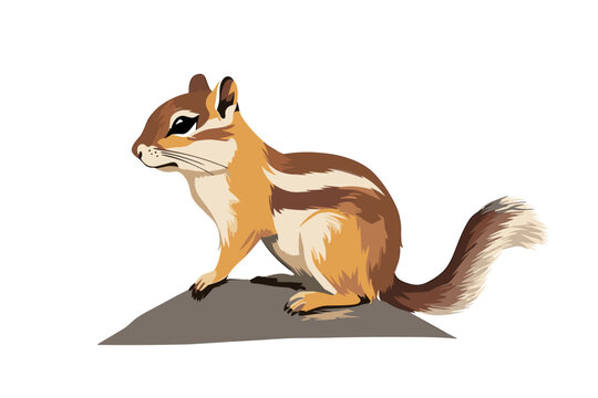 Chipmunk Drawing Bilder – Durchsuchen 8,032 Archivfotos, Vektorgrafiken ...