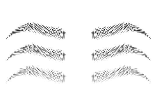 Eyebrow Models Images – Browse 161,472 Stock Photos, Vectors, and Video ...