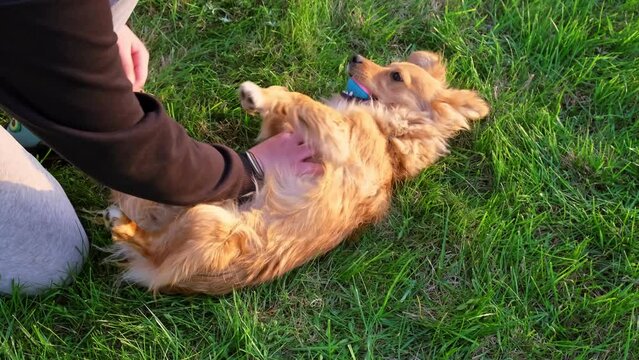 Laing Images – Browse 394 Stock Photos, Vectors, and Video | Adobe Stock