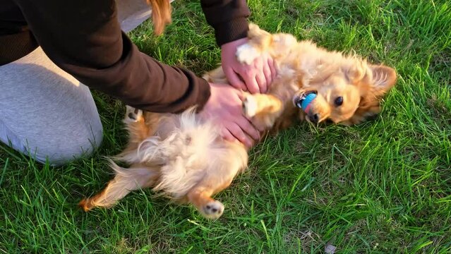 Laing Images – Browse 394 Stock Photos, Vectors, and Video | Adobe Stock