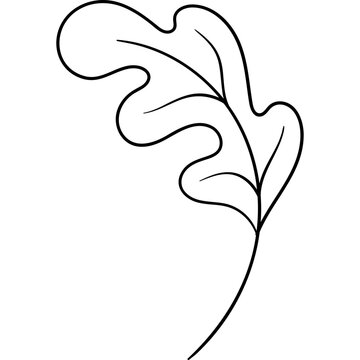 Simple Oak Leaf Outline