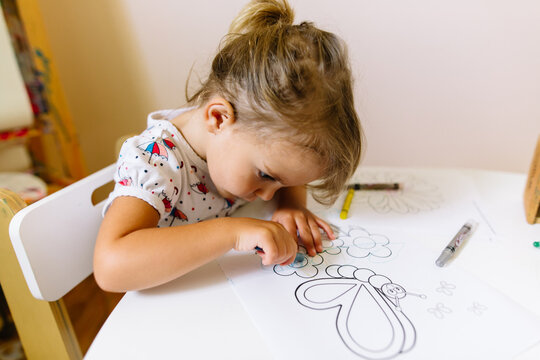 รูปภาพSheed – เลือกดูภาพถ่ายสต็อก เวกเตอร์ และวิดีโอ440,603 | Adobe Stock