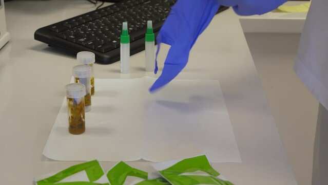 "Stool Sample" Images – Browse 1,008 Stock Photos, Vectors, and Video ...