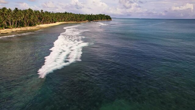 Folling Images – Browse 731 Stock Photos, Vectors, and Video | Adobe Stock