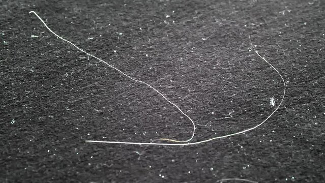 Confused Tools Images – Browse 13,811 Stock Photos, Vectors, and Video ...