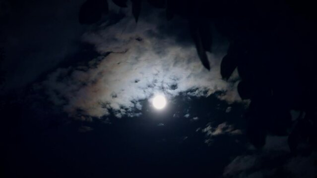 "Moon Shining" Images – Browse 2,015 Stock Photos, Vectors, and Video ...