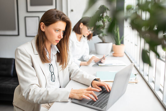 "Office Management" bilder – Bläddra bland 15,984 stockfoton, vektorer ...