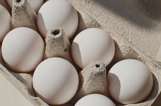 Egg Shell Texture Images – Browse 31,469 Stock Photos, Vectors, and ...