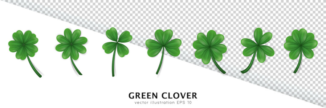 "Realistic Clover" Images – Browse 129 Stock Photos, Vectors, and Video ...