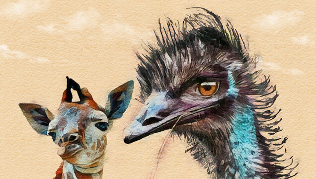 "Emu Looking" Images – Browse 37 Stock Photos, Vectors, and Video ...