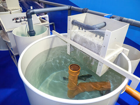 "Fish Hatchery" Imagens – Procure 1,187 fotos, vetores e vídeos | Adobe ...