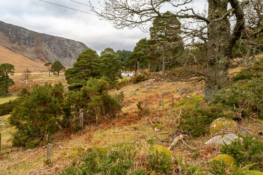 Luggala Bilder – Durchsuchen 136 Archivfotos, Vektorgrafiken und Videos ...