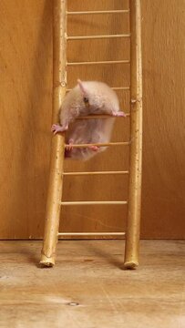 Unwieldy Images – Browse 30,413 Stock Photos, Vectors, and Video ...