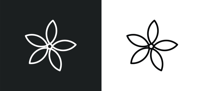 "Neroli Oil" Images – Parcourir 1,692 le catalogue de photos, vecteurs ...
