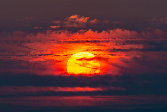 Solail Images – Browse 29 Stock Photos, Vectors, and Video | Adobe Stock